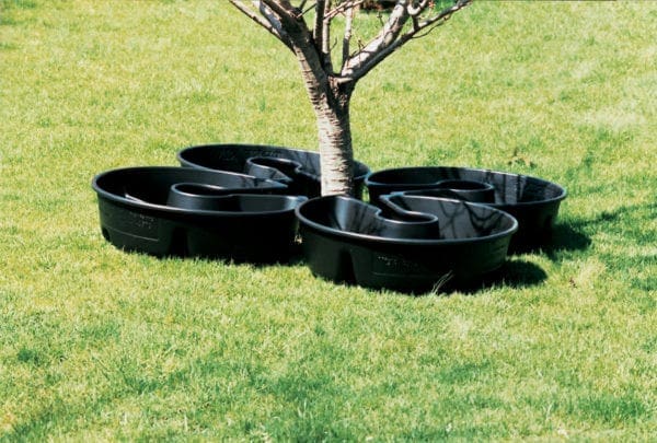 Tree Rings - Bio-Plex